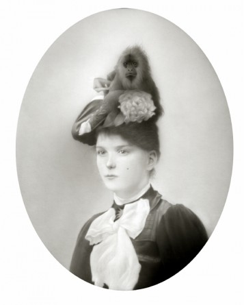 Travis Louie - Surrealism Today