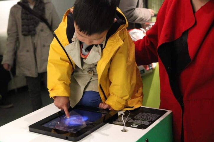 Electric Sheep – Interview with Scott Draves - Surrealism Today