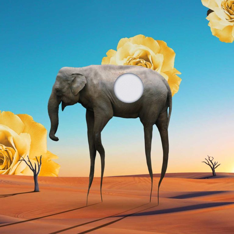 Evan Lawrence - Surrealism Today
