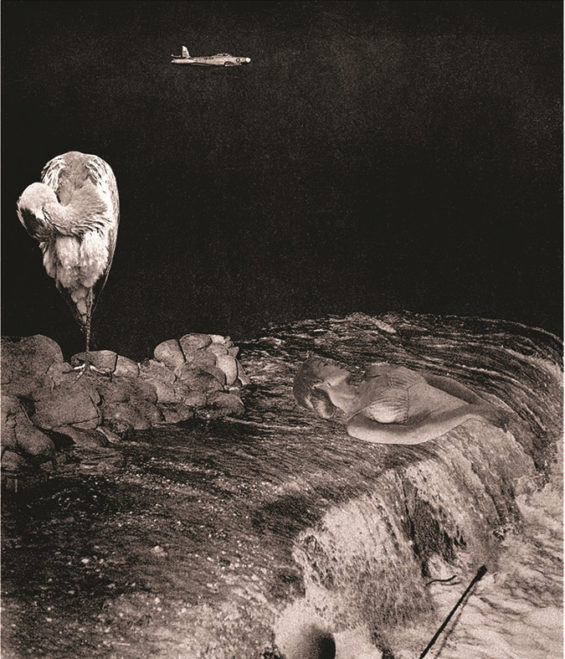Toshiko Okanoue - Surrealism Today