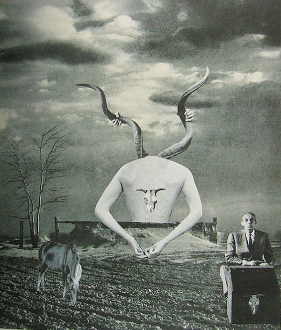 Toshiko Okanoue - Surrealism Today