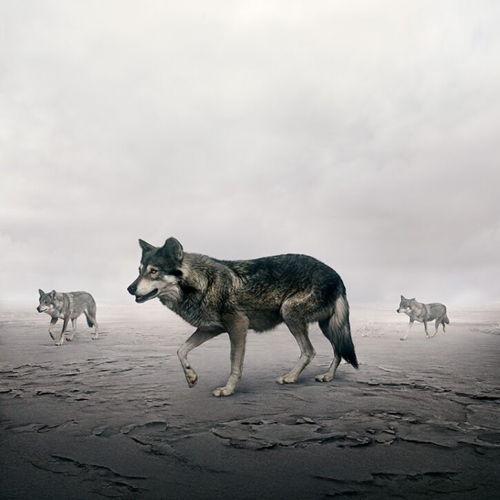 Alice Zilberberg – Surrealism Today
