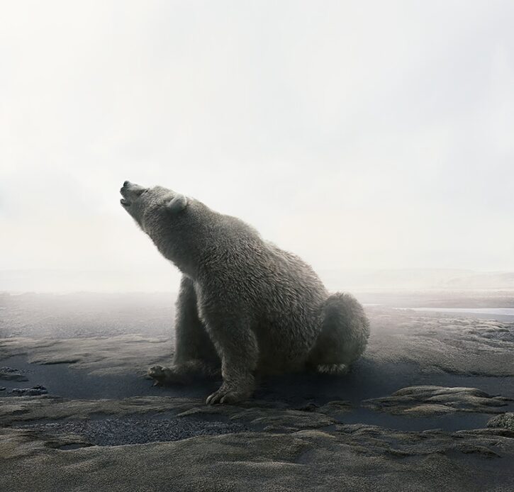 Alice Zilberberg – Surrealism Today
